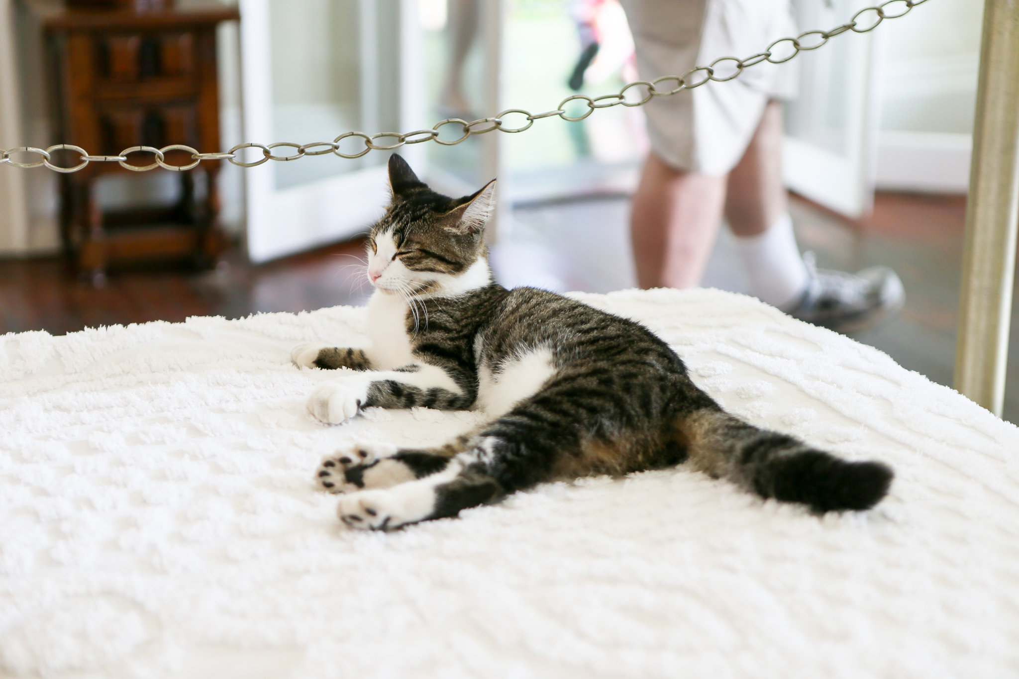 The Best of Key West - One Girl Wandering