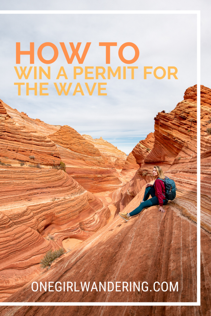 Hiking the Wave - UPDATED for 2021 - One Girl Wandering
