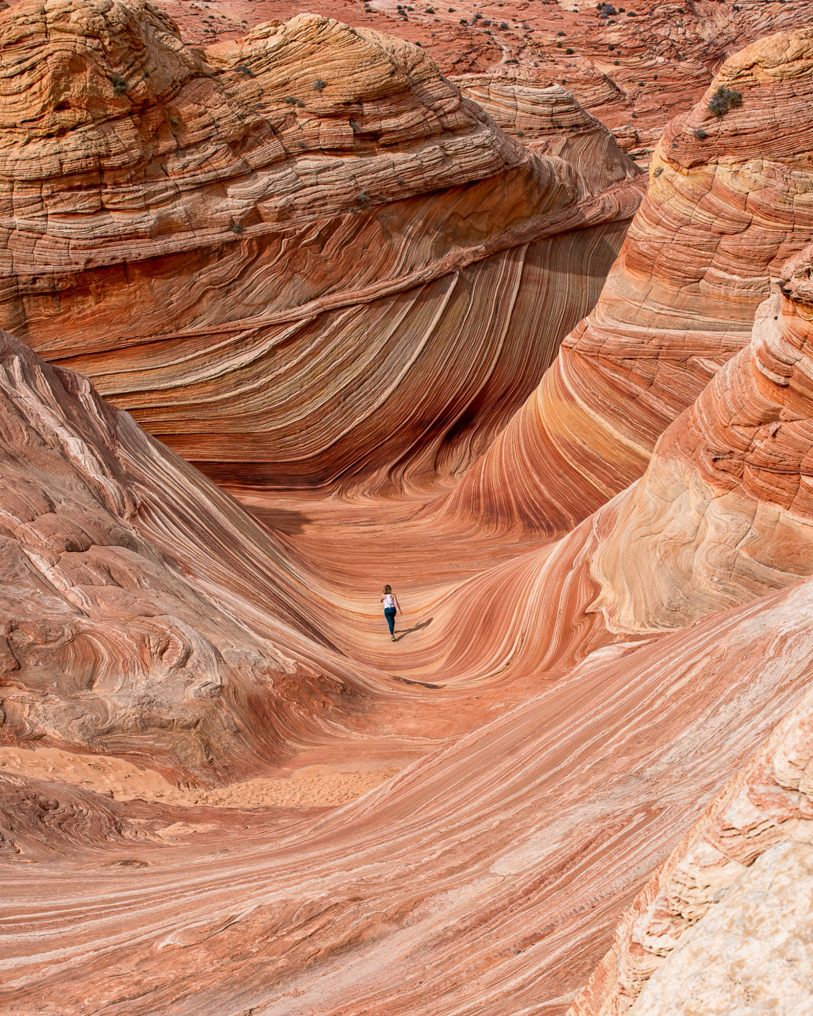 Hiking the Wave - UPDATED for 2021 - One Girl Wandering